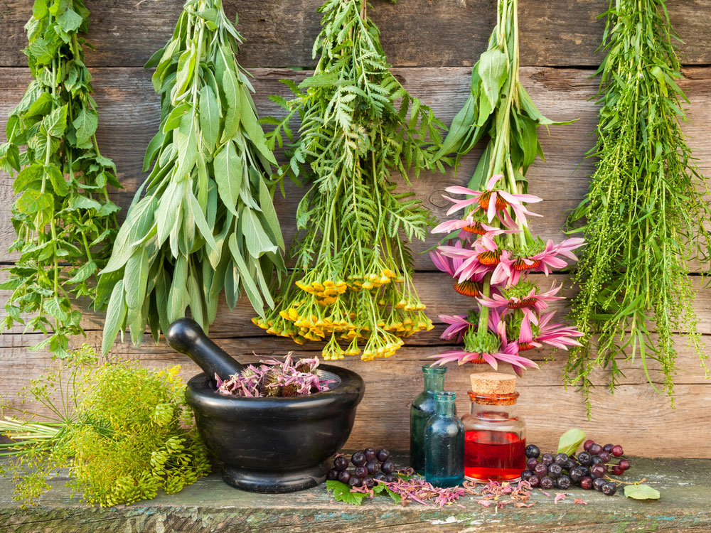 Le mille proprietà delle erbe officinali