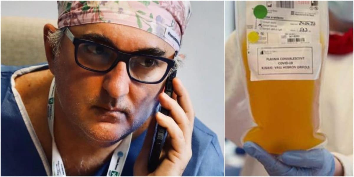 De Donno: “L’unico obiettivo del nostro lavoro è il sostegno alla vita”