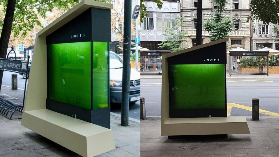 Liquid Tree: gli alberi liquidi che purificano l'aria