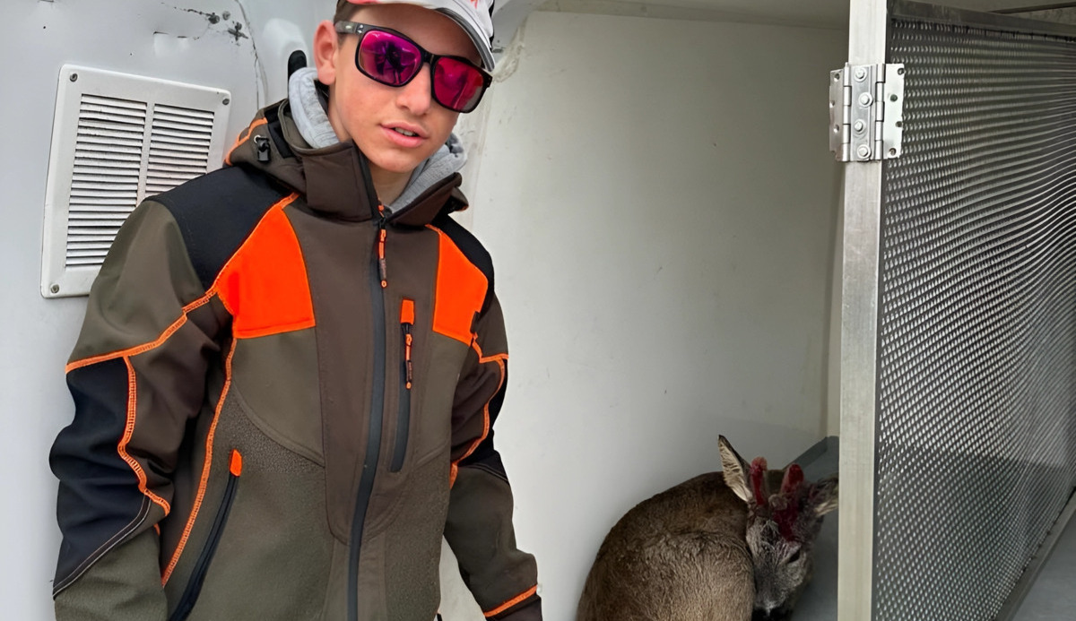 Samuel Massa, il 14enne salva un capriolo ferito in mare